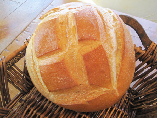 Home | Conshohocken Italian Bakery